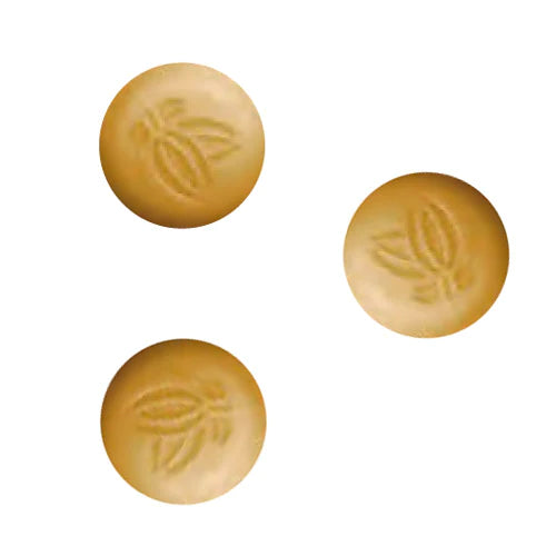 FELCHLIN BIONDA 36% CARAMEL WHITE COUVERTURE – Club Chocolate